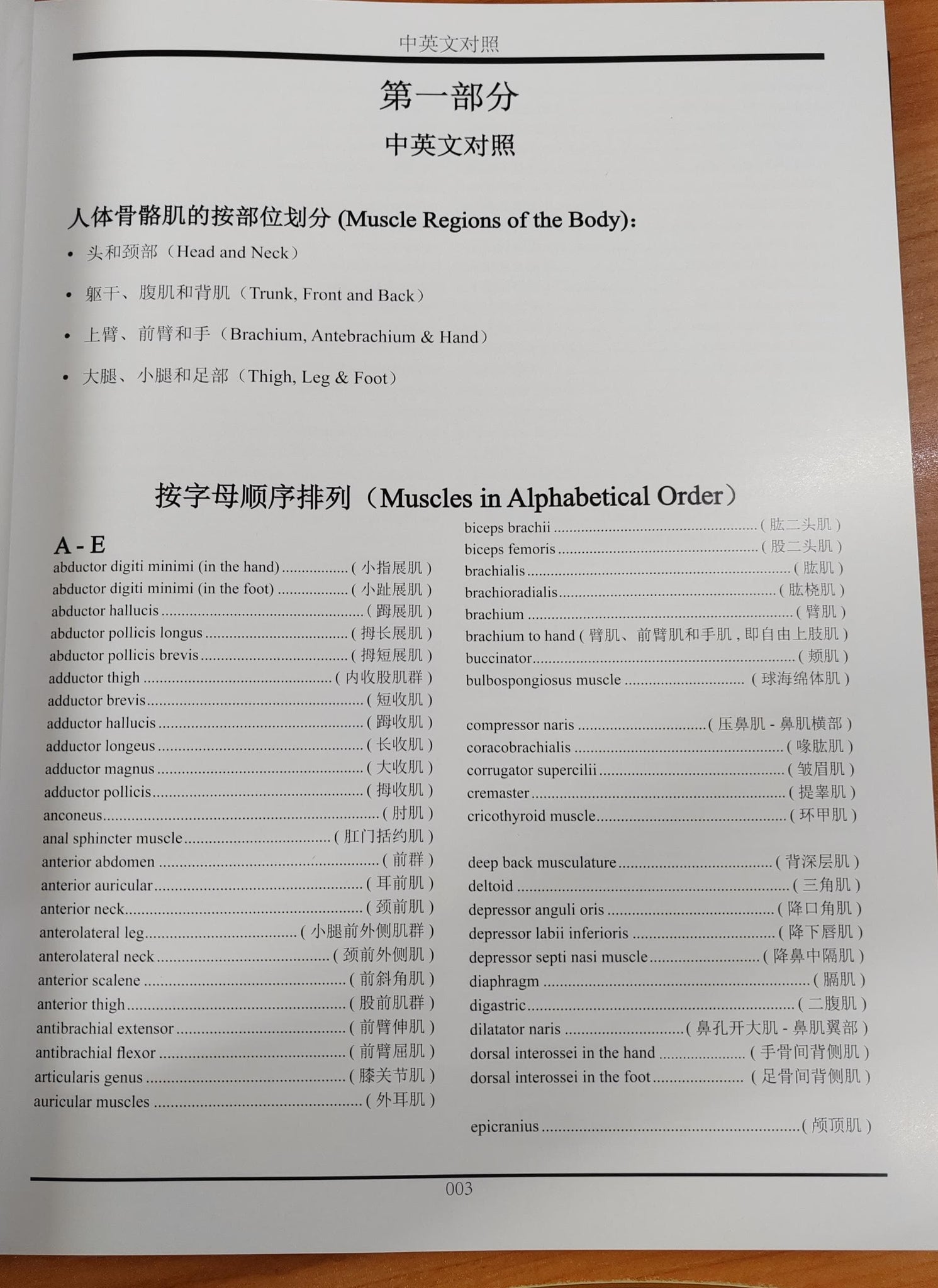 汉英人体骨骼肌解剖图谱 A Chinese-English Atlas of Human Skeletal Muscles（精装） – 玲子 ...